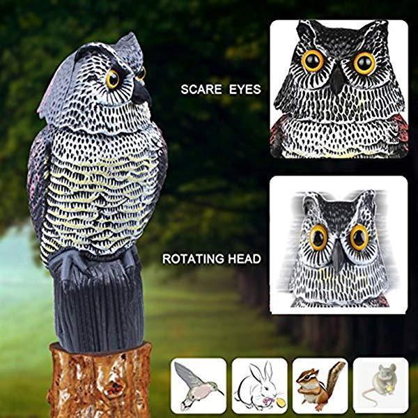Shaking Head Owl – britishen