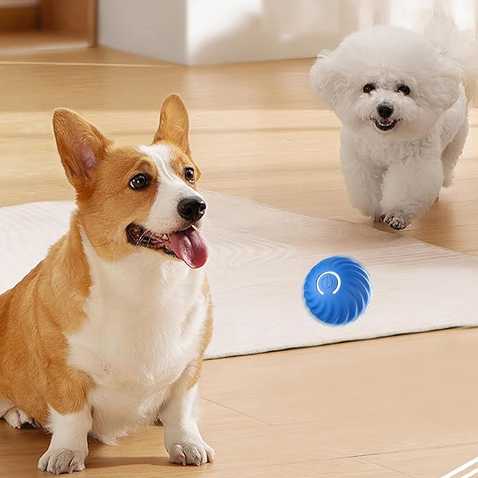Active Rolling Ball Anti-Anxiety Automatic Moving Ball – britishen